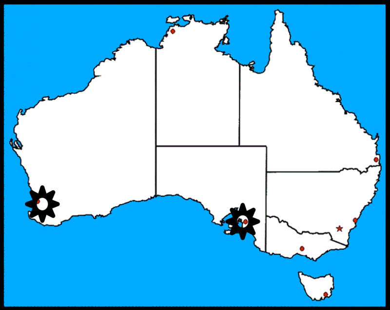 SAAB Australia | Australian Air Force Cadets (AAFC)