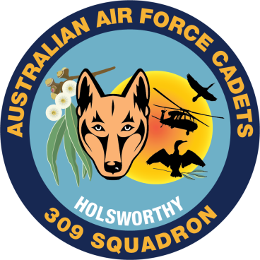 3 Wing AAFC – NSW & ACT | Australian Air Force Cadets (AAFC)